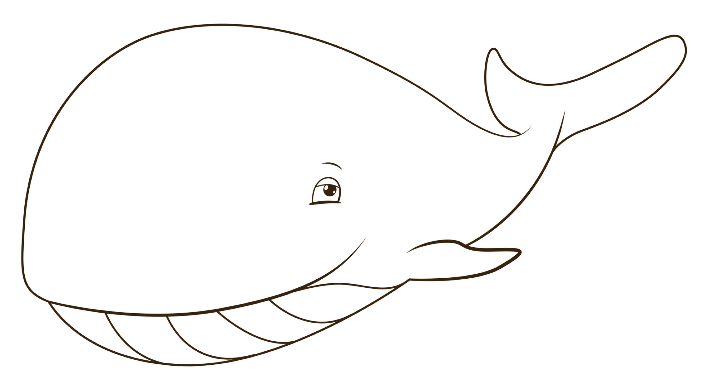 Walvis Tekening